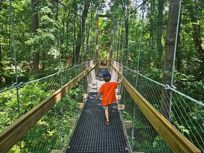 Hidden Lake Gardens - Reach for the Sky Canopy Walk 6