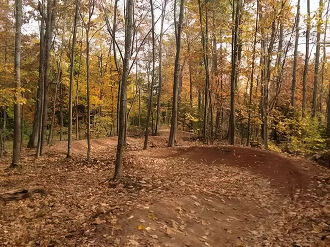 Houghton 2