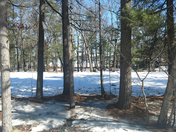 Interlochen State Park 8