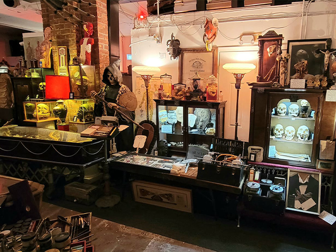 Laid To Rest Antiques & Oddities 1
