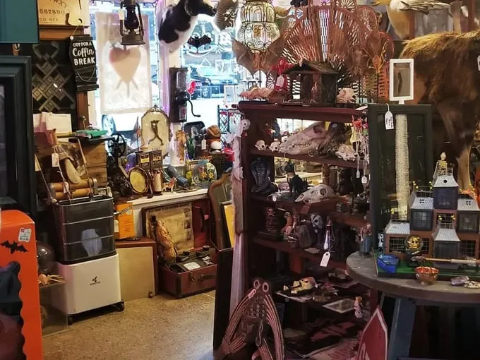 Laid To Rest Antiques & Oddities 3