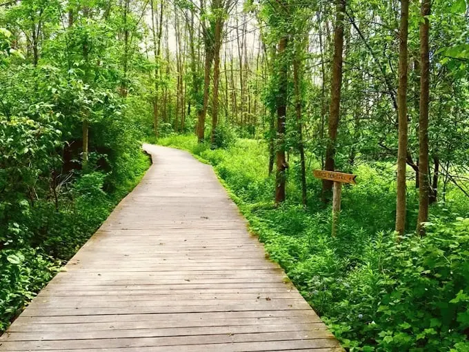 Lion's Den Trail 1