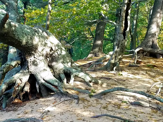 Ludington State Park Beach 2