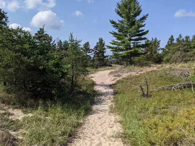 Ludington State Park Beach 5