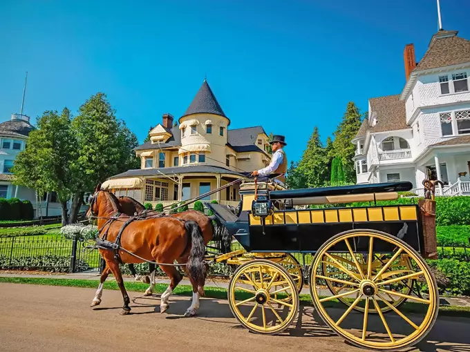 Mackinac Island Carriage Tours 1