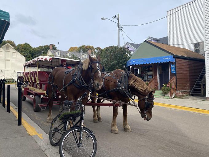 Mackinac Island Carriage Tours 2