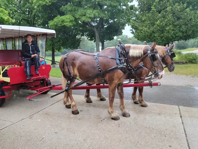 Mackinac Island Carriage Tours 3