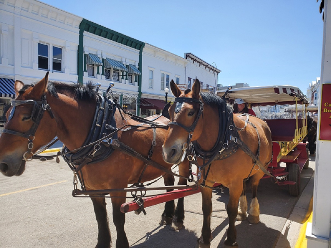 Mackinac Island Carriage Tours 8