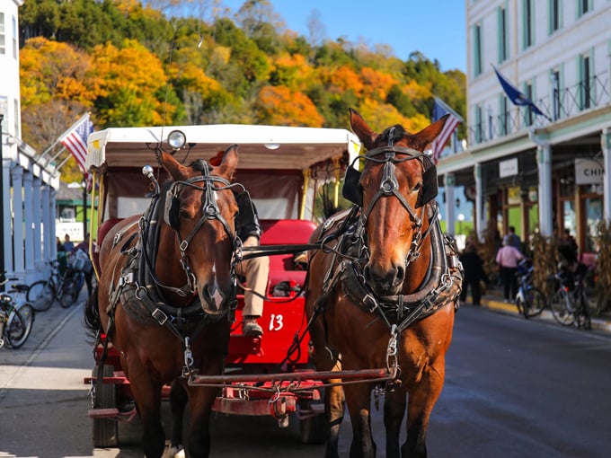 Mackinac Island Carriage Tours 9