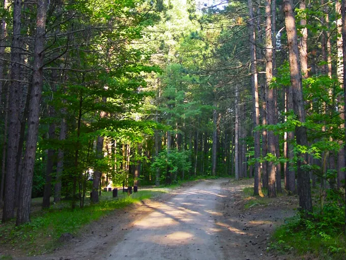 Manistee 5