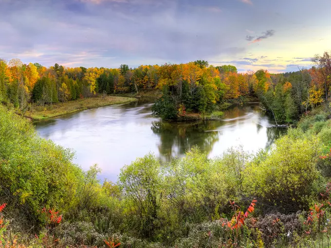 Manistee River 7