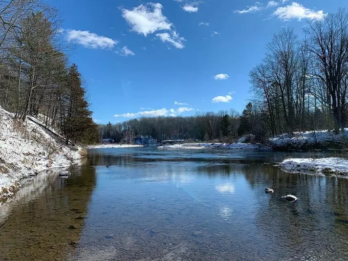 Manistee River 8
