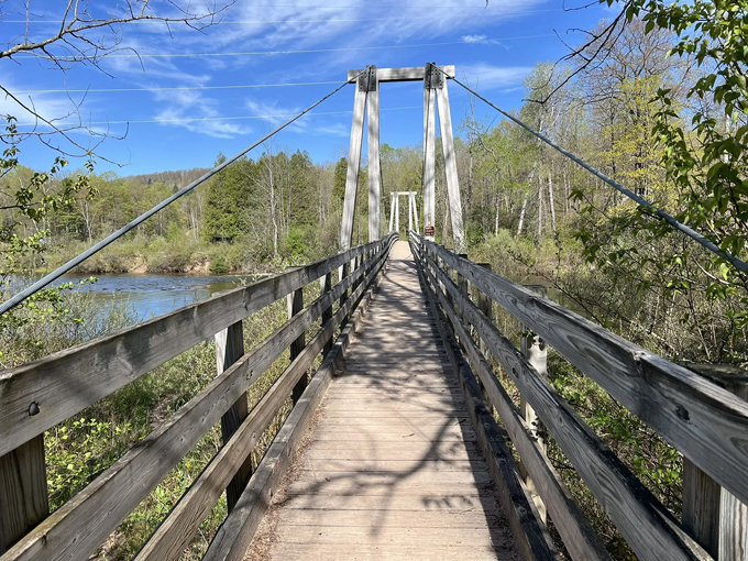 manistee river loop trail 1