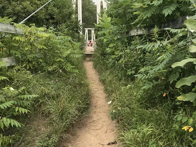 manistee river loop trail 4