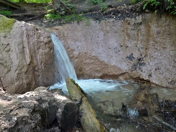 manistee river loop trail 7