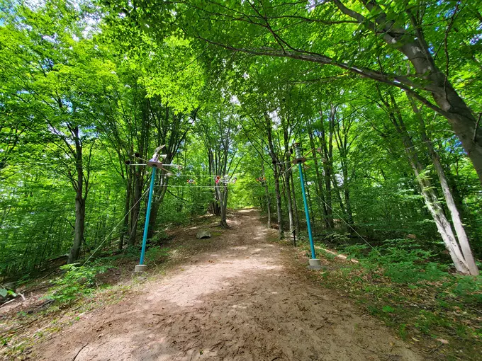 Michigan Legacy Art Park 9