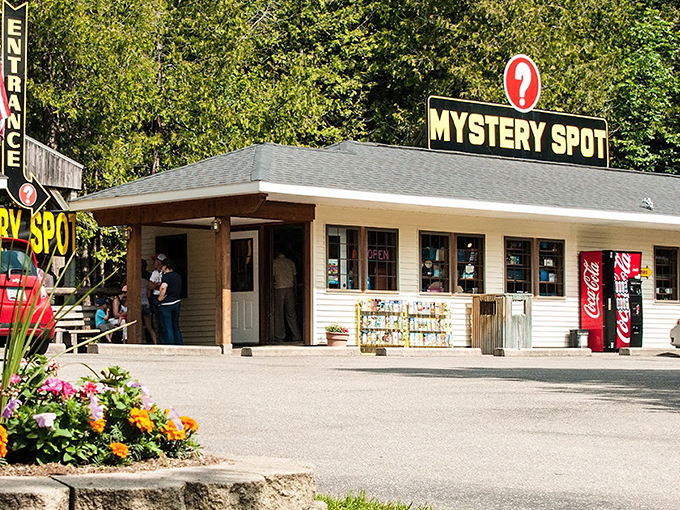 Mystery Spot 1