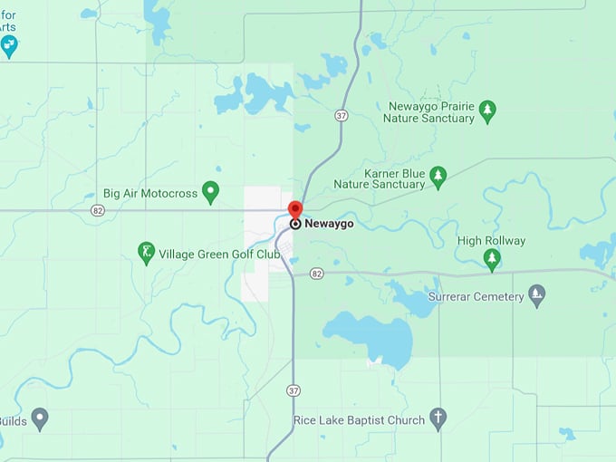 Newaygo 10 Map