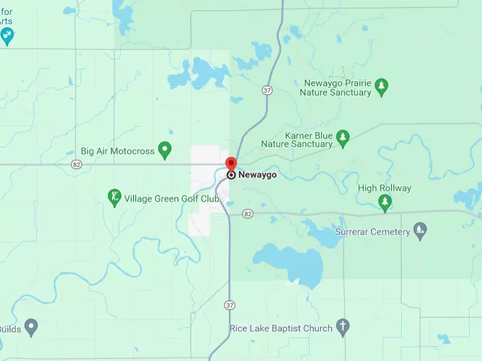 Newaygo 10 Map