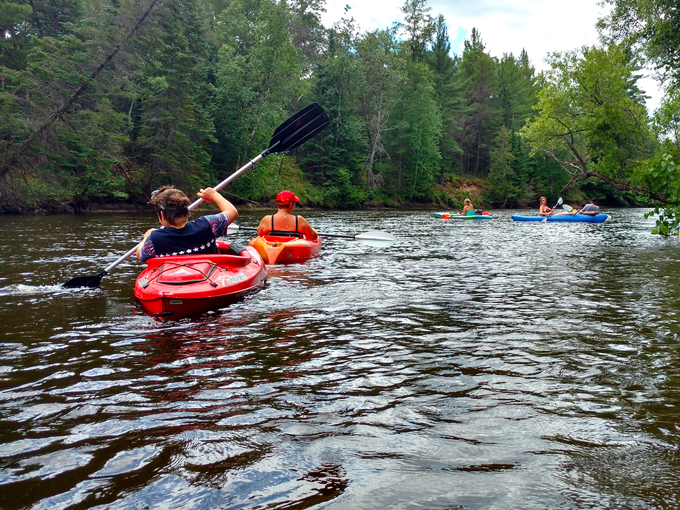 Newaygo 3