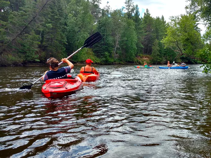 Newaygo 3