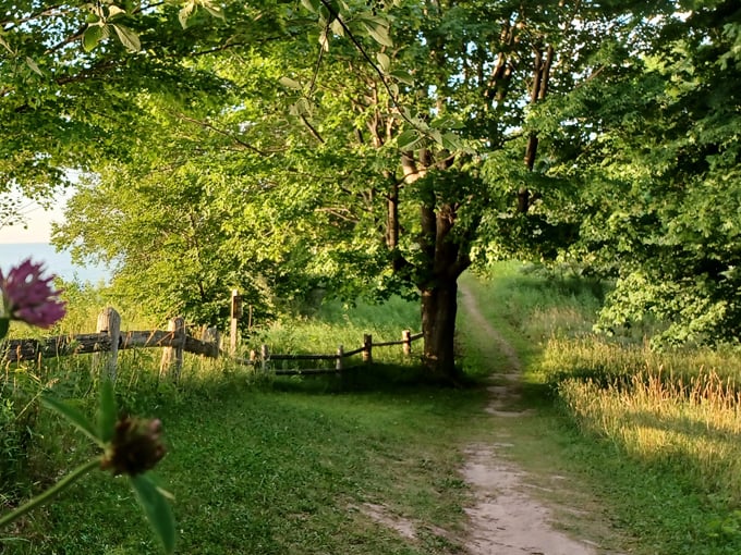 Orchard Beach State Park 5