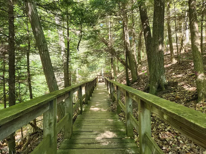 P.J. Hoffmaster State Park Honeymoon Trail 2