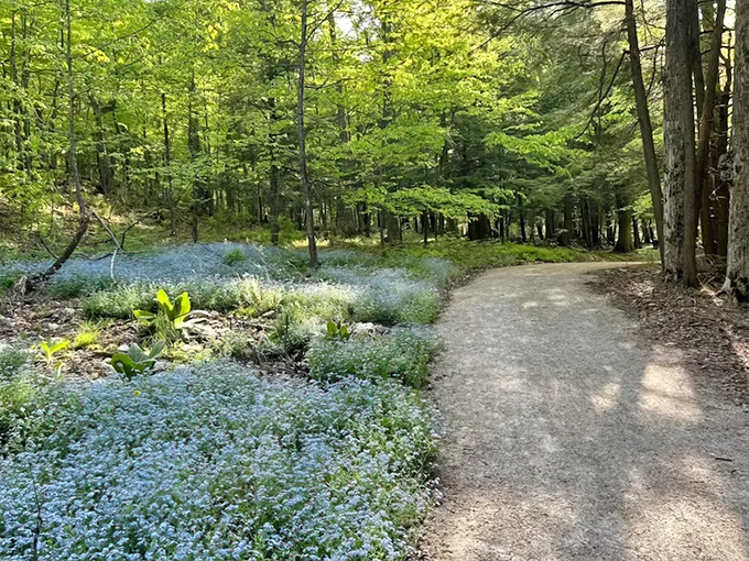 Peninsula State Park 1
