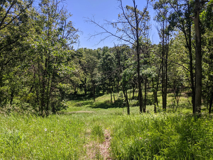 Penosha Trail 2
