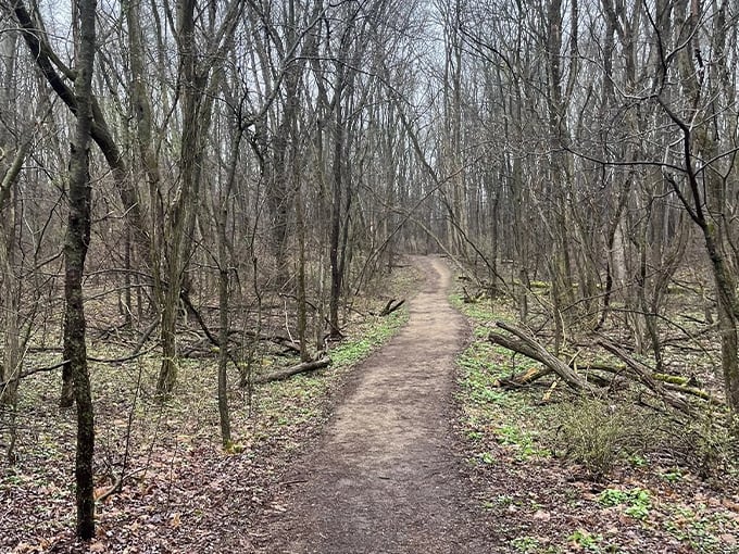 Penosha Trail 3