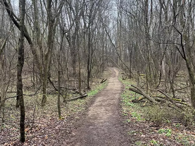 Penosha Trail 3