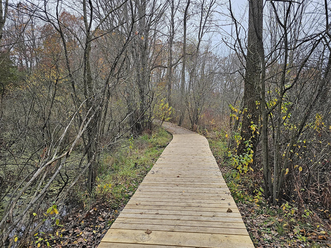 Penosha Trail 4