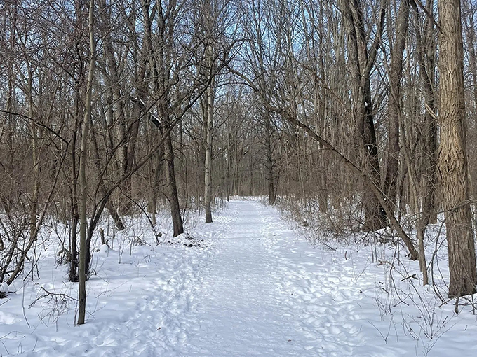 Penosha Trail 8