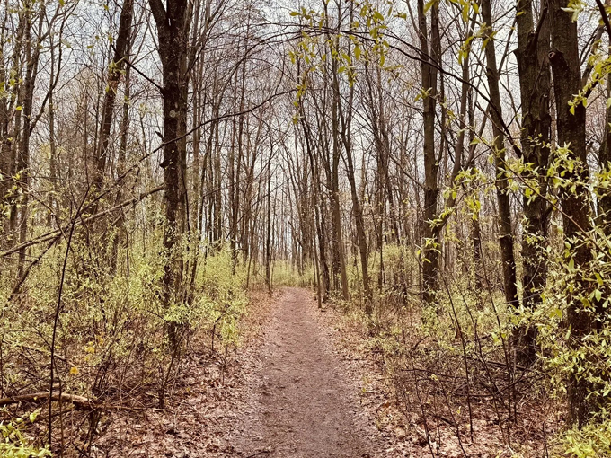 Penosha Trail 9