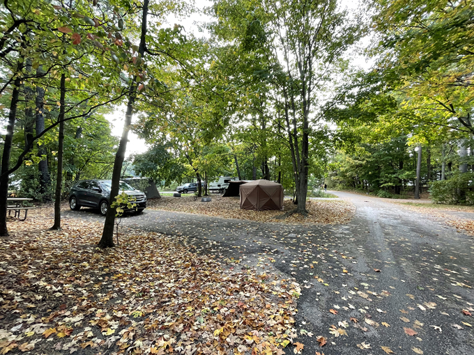 Petoskey State Park 4