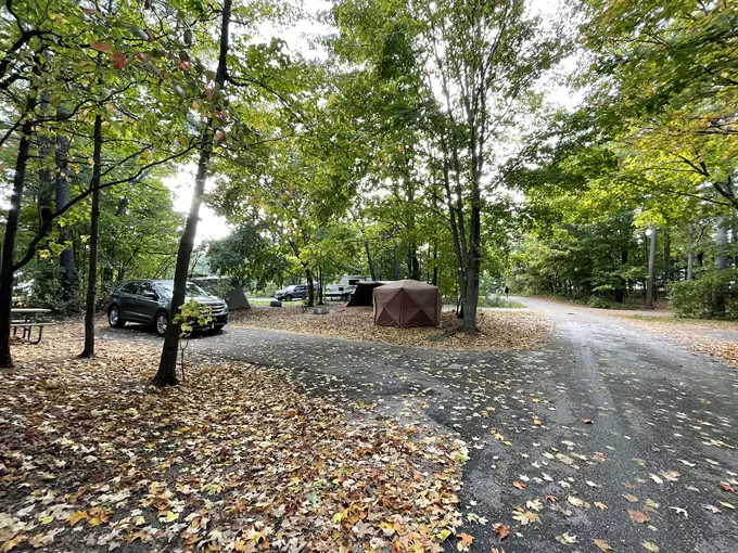 Petoskey State Park 4