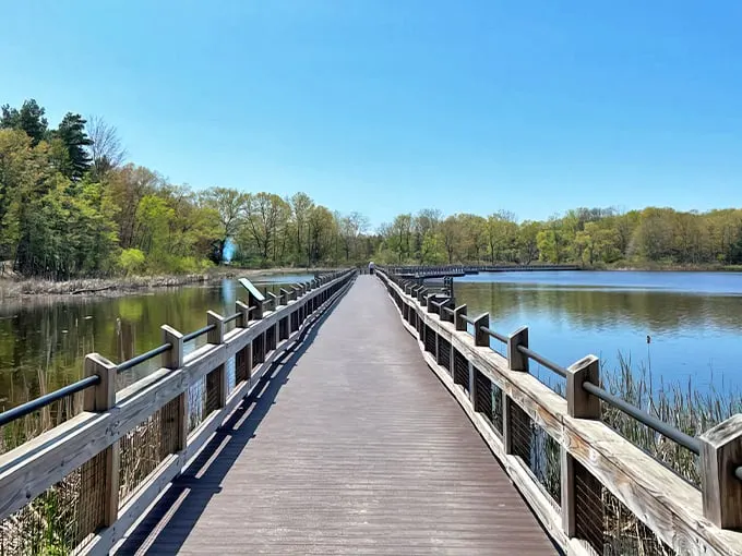 Pickerel Lake Park 1