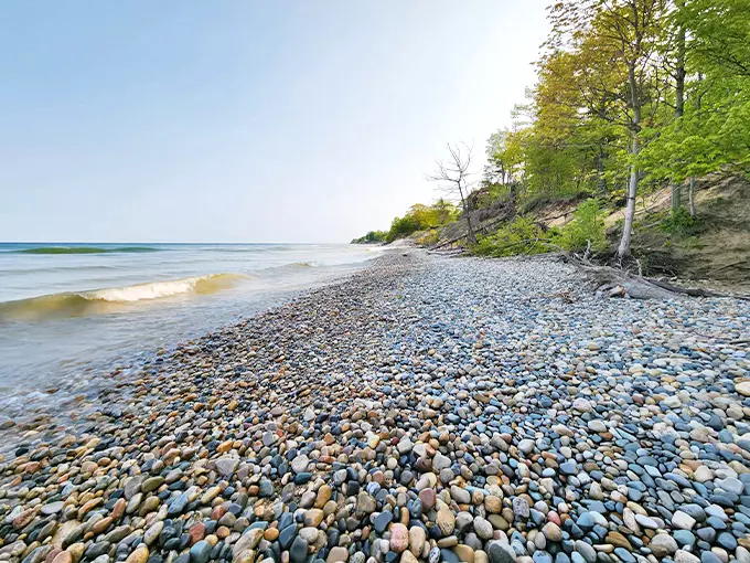 Pilgrim Haven Natural Area 1