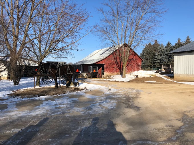 Pleasant View Bakery 7