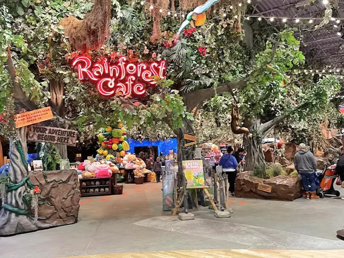 Rainforest Cafe 1