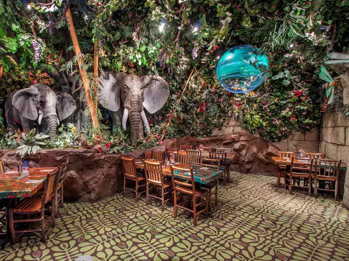 Rainforest Cafe 2