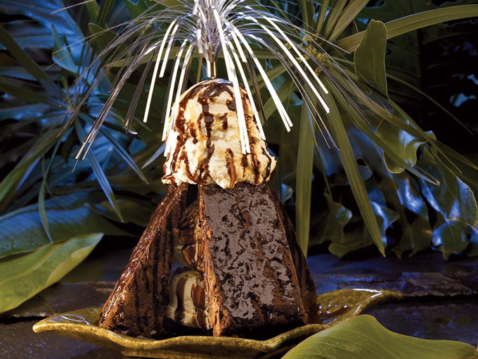 Rainforest Cafe 5
