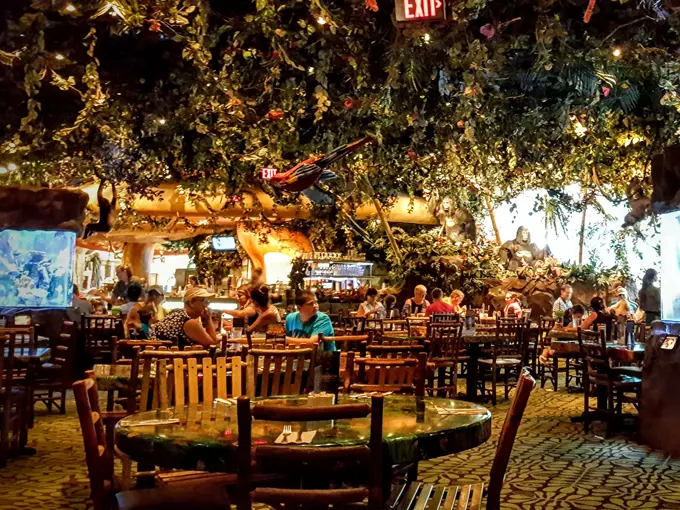 Rainforest Cafe 7