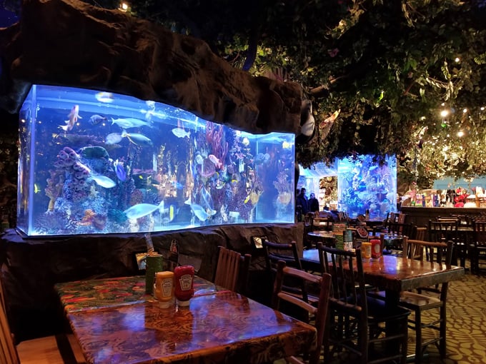 Rainforest Cafe 8