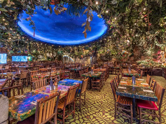 Rainforest Cafe 9