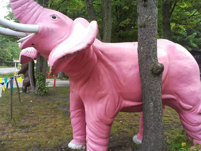 Robinson Scenic Gardens 3