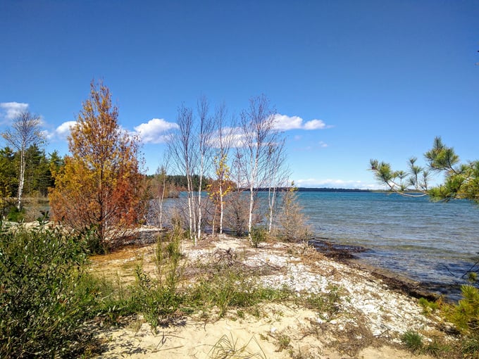 Rockport State Recreation Area 8