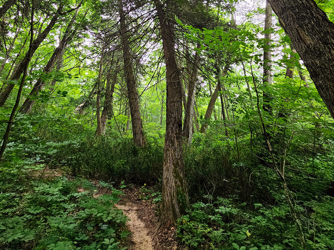 South Manitou Island 3