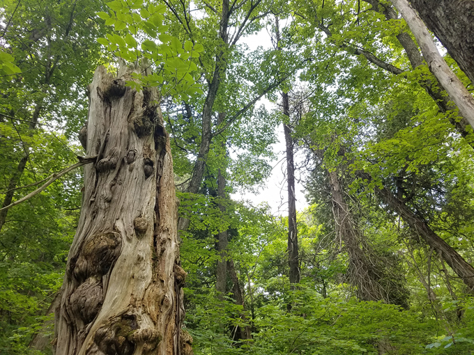 South Manitou Island 4