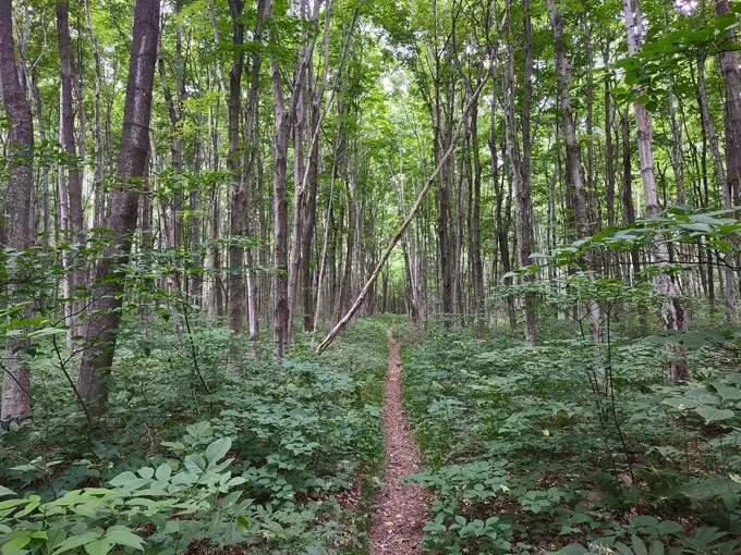 South Manitou Island 6